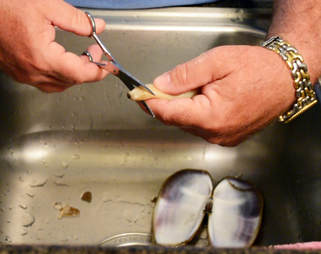Cleaning Razor Clams - Professional Razor Clam Cleaning